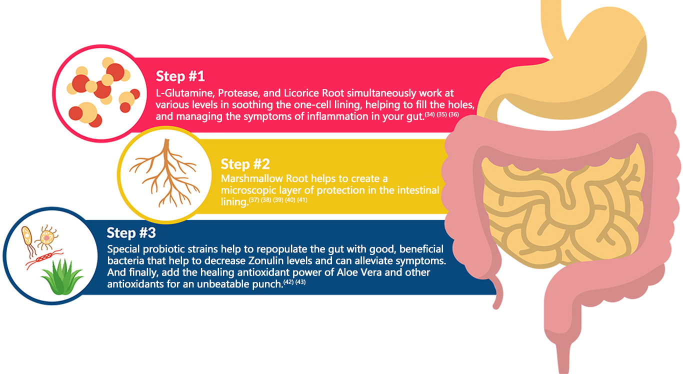 Gut Repair Protocol – – Nutrition Supplement